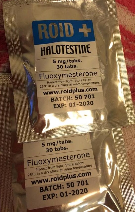 Picture: halotestin packs