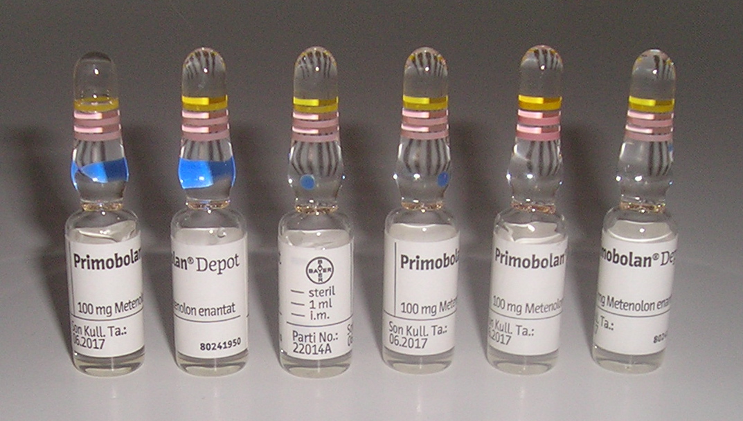 Picture: bayer primo from gymchemist!